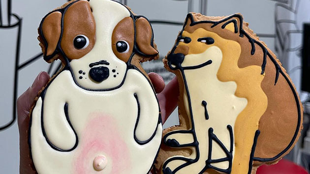 ¡Galletas de Memes! La nueva sensación de la CdMx – Periódico Zócalo ...