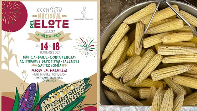 Feria Internacional del Elote llega del 14 al 18 de septiembre en CDMX ...