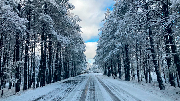 Prevén heladas en 75 por ciento de México con temperaturas de hasta -10 ...