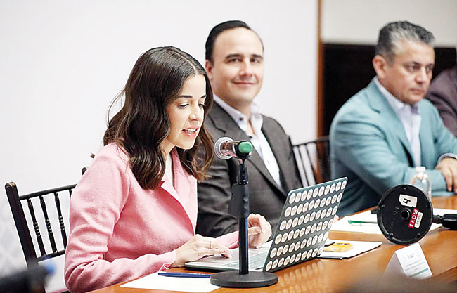 ‘Sentamos las bases para un gran proyecto de salud mental’ – Periódico ...
