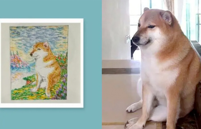 Visita el museo dedicado a ‘Cheems’, el perrito más viral del internet ...
