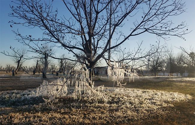 Se presenta la primera helada en la región de los 5 Manantiales ...